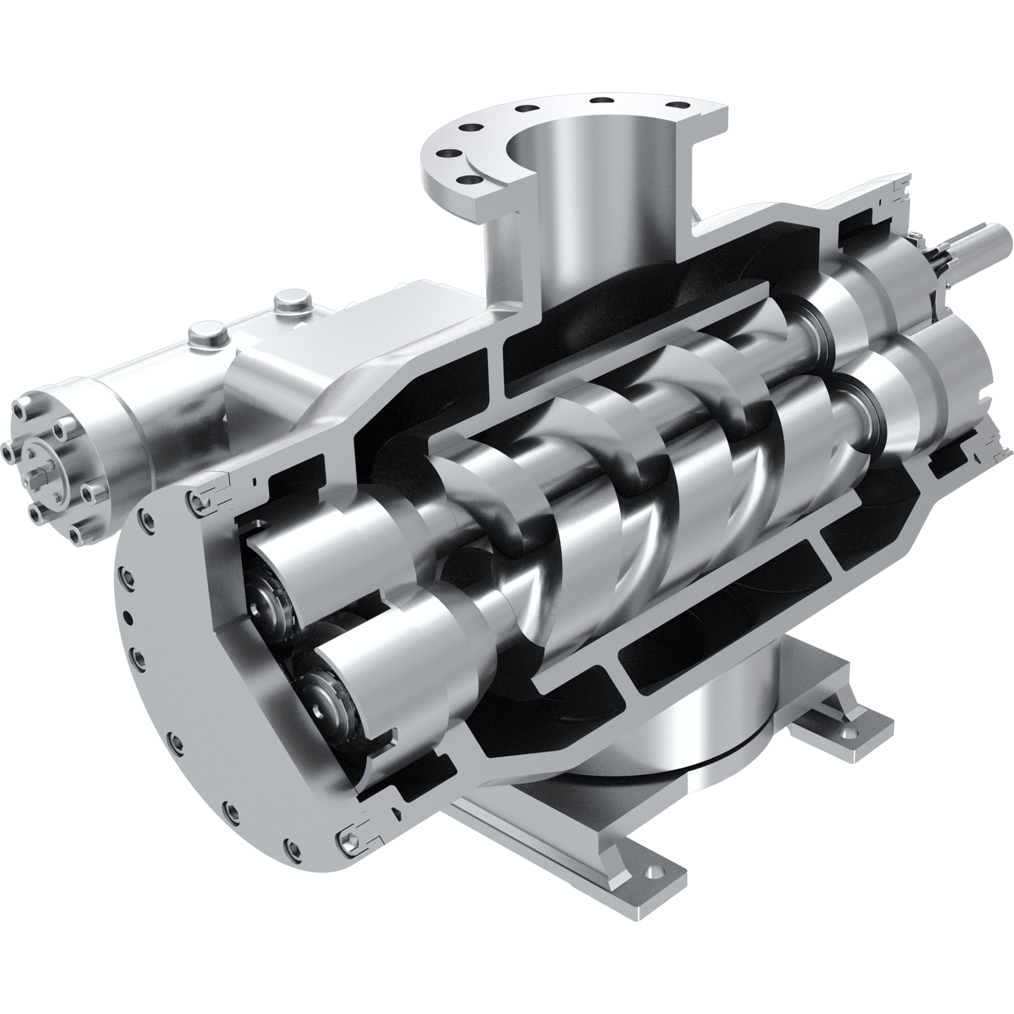 Bornemann Pumps: Reliable Solutions for Demanding Industries 2025 - Multi Torque Industries